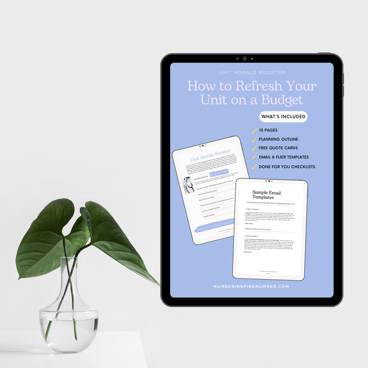 Digital Resource: New Year Unit Refresh - nursesinspirenurses